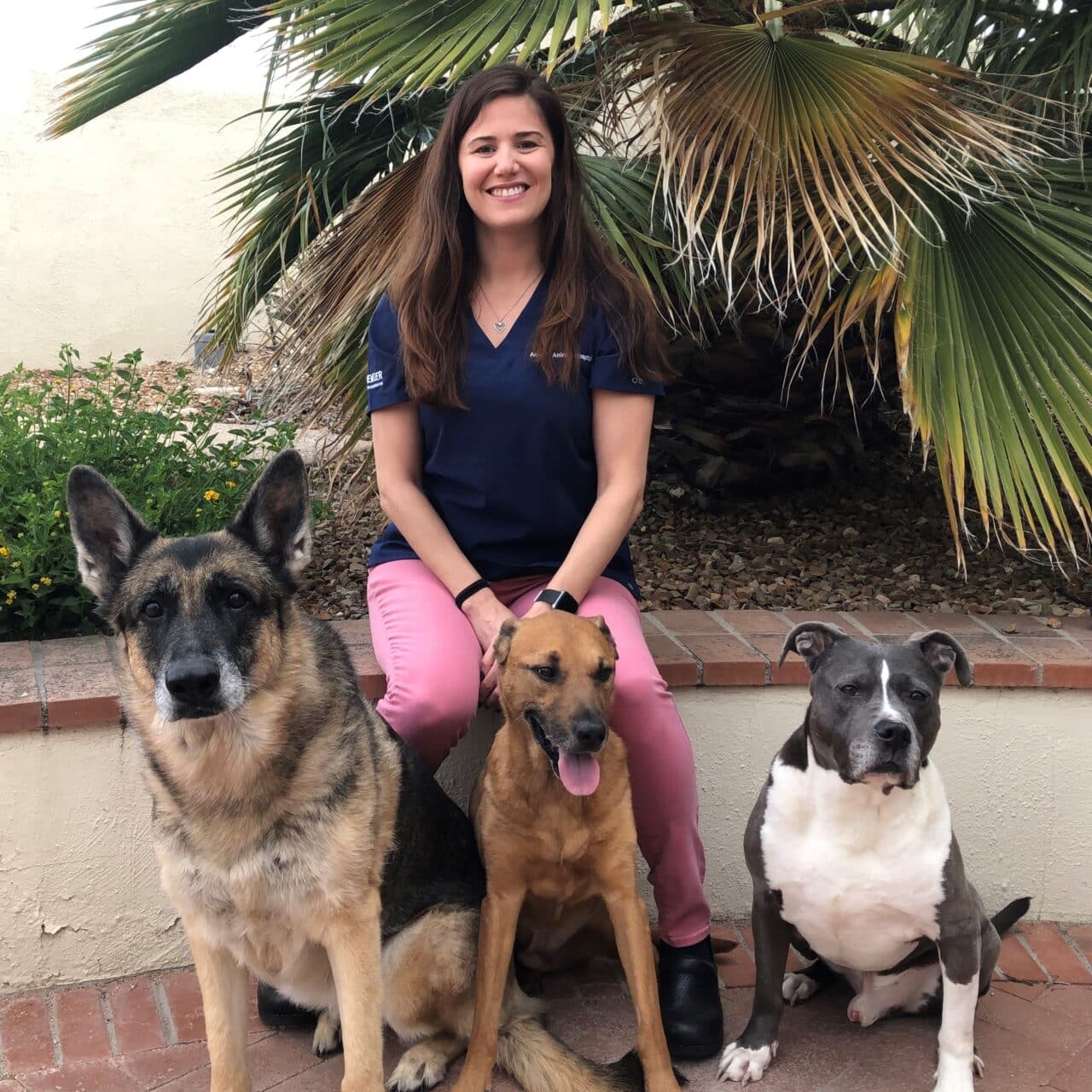 Veterinarian In Tucson, AZ 85719 | Acacia Animal Hospital